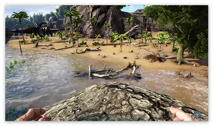 Ark: Survival Evolved – Options de lancement et paramètres graphiques